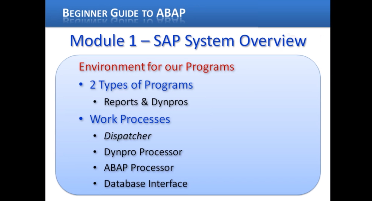 Module 1 Sap System Overview Step By Step Guide For Sap Abap Programming For Beginners